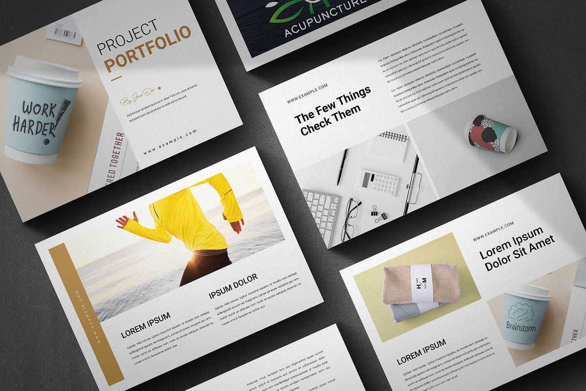 Project Portfolio Template, a Templates & Theme by evgenystudio