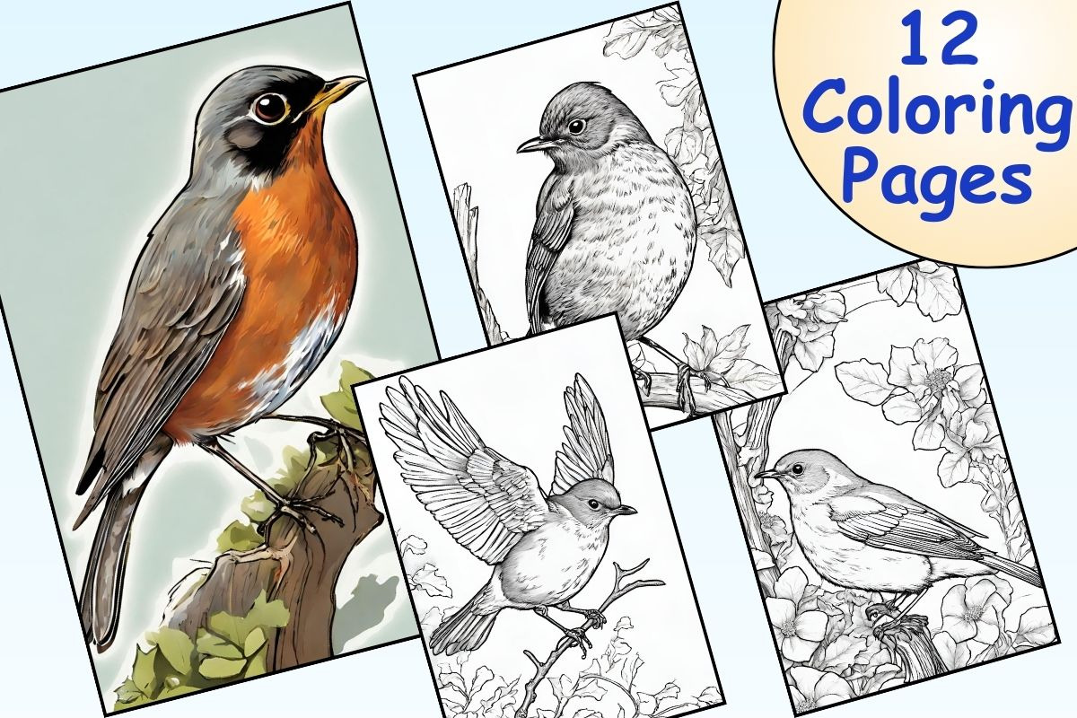 American Robin Coloring Pages, an Illustration by Catchy Ideaz