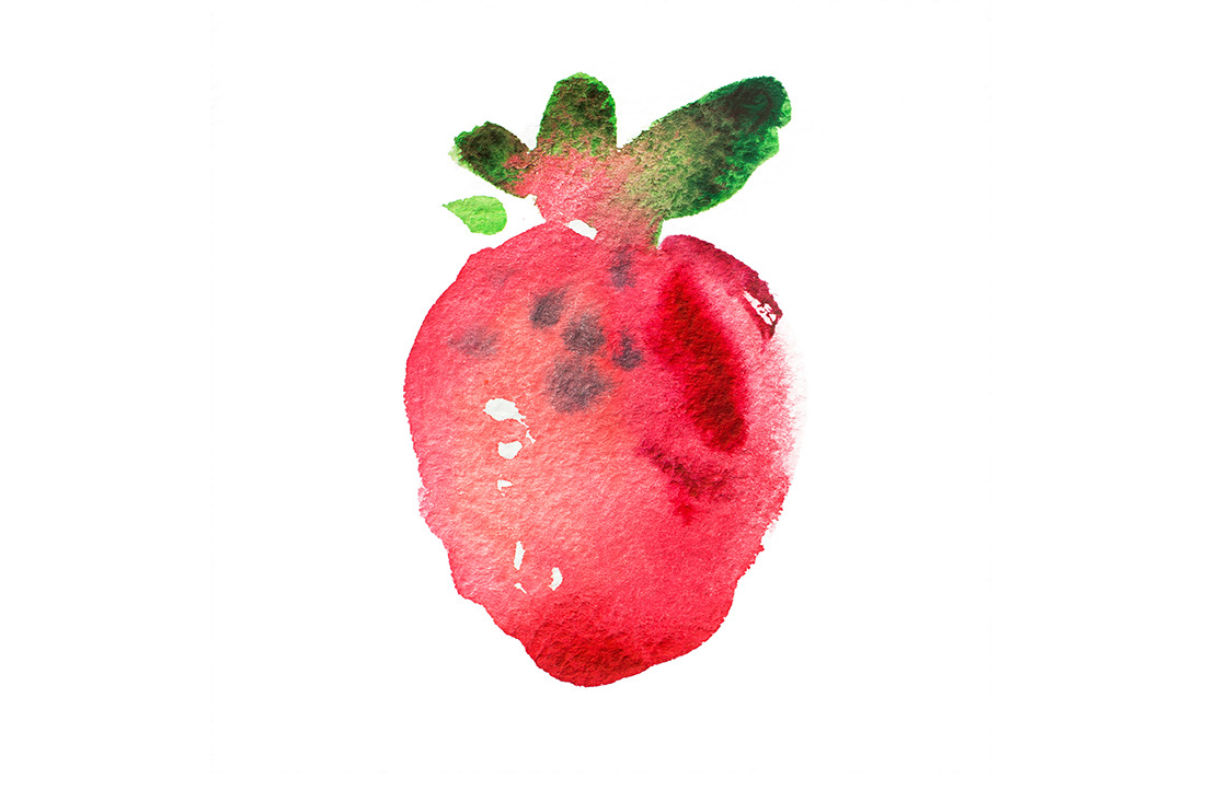 Red berry. Watercolor, an Illustration by undrey