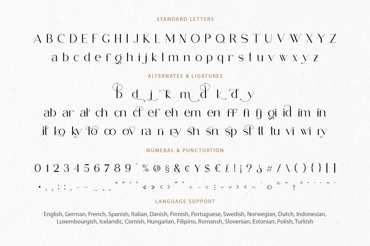 Modern Ligature Font, a Serif Font by elvinova