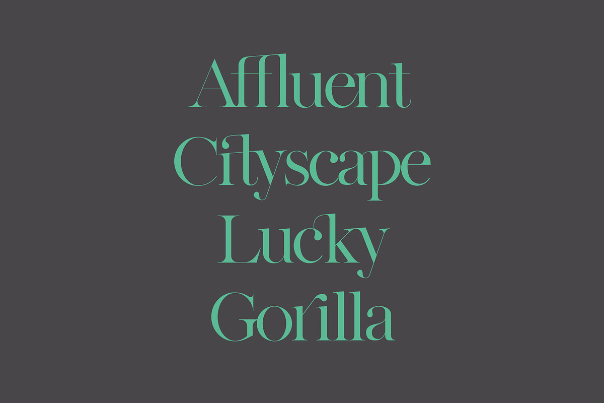 Par Realisation - Serif Typeface, a Serif Font by TypeMaison