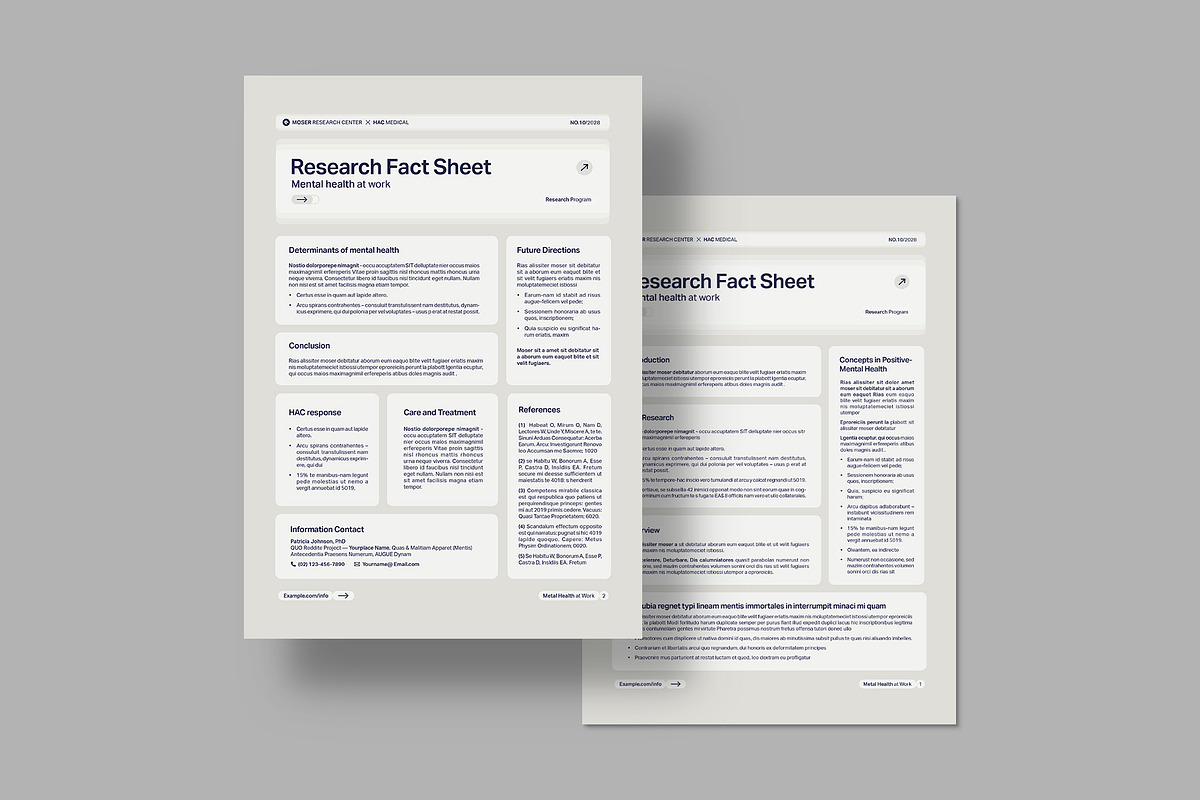 Research Fact Sheet Template, a Flyer Template by BrandPacks