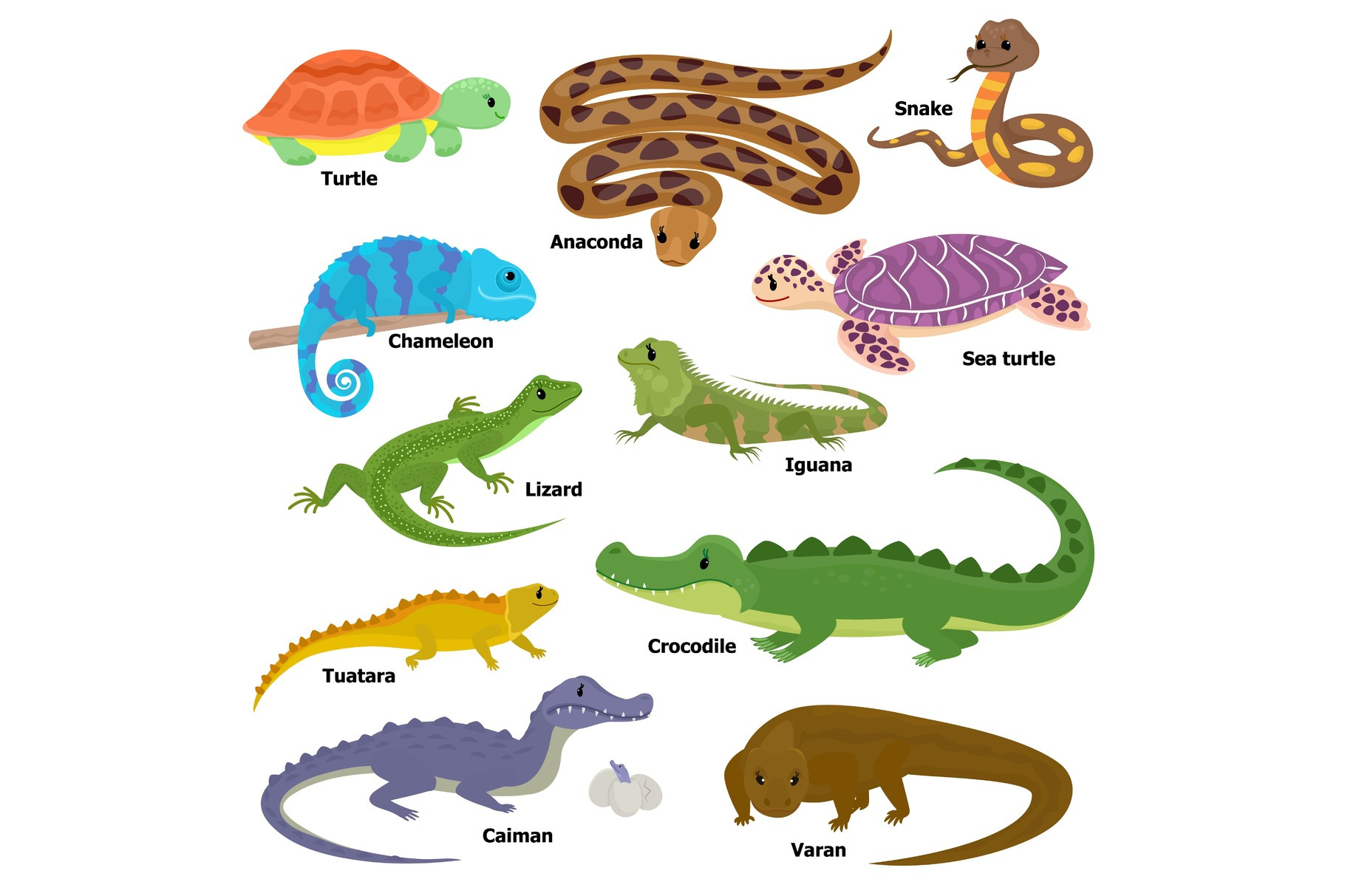 Reptile vector animal reptilian, an Animal Illustration by KitVector