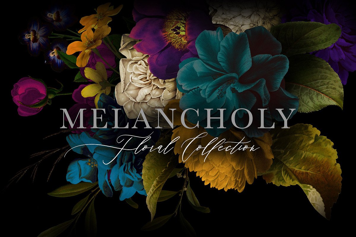 Melancholy Floral Collection, an Illustration by Eclectic Anthology