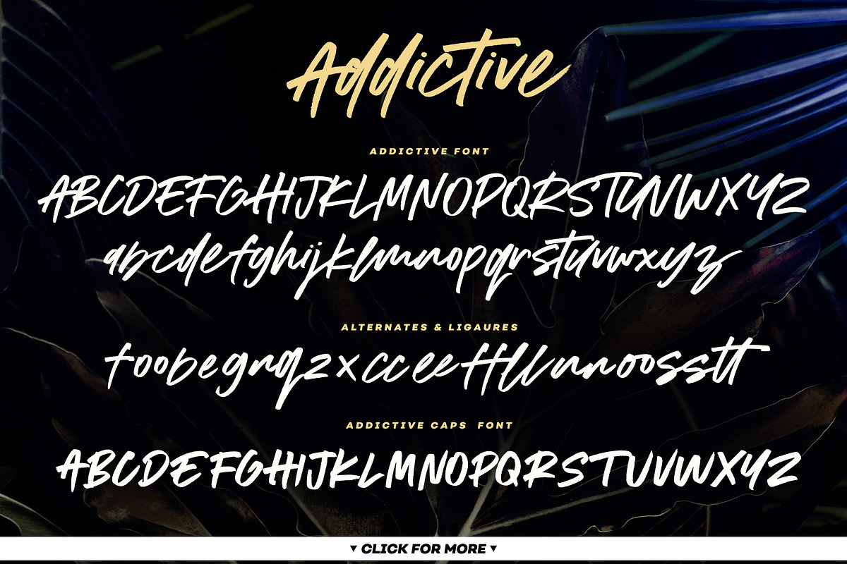 Addictive | Font Duo, a Script Font by Studio&Story