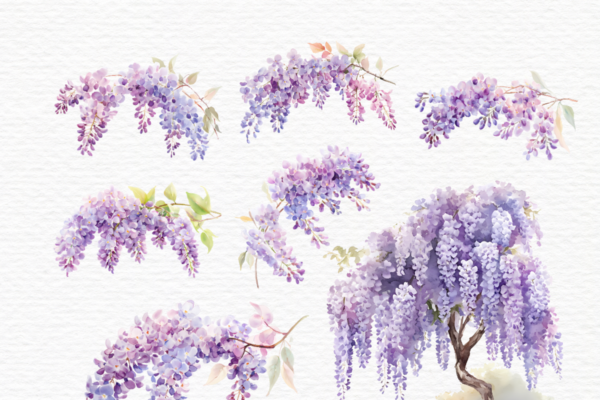 Wisteria tree floral clipart, a Decorative Illustration by Invite to ...