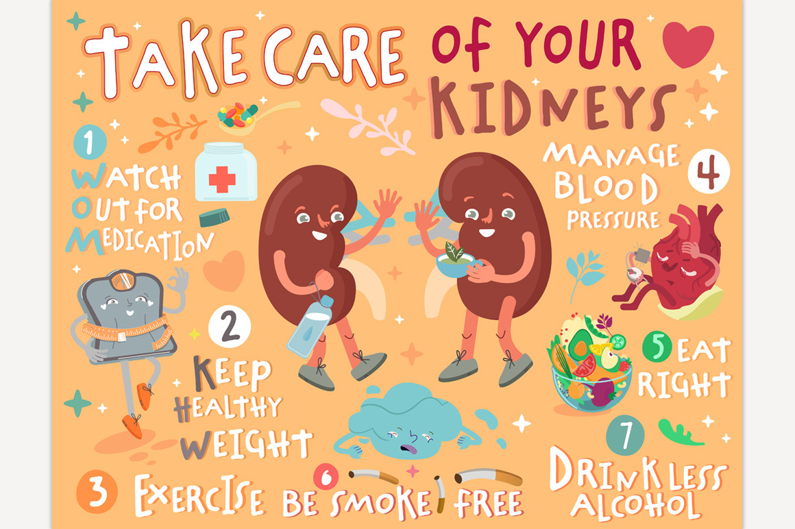 Take care of your kidneys., an Education Illustration by Anna's Shop ...