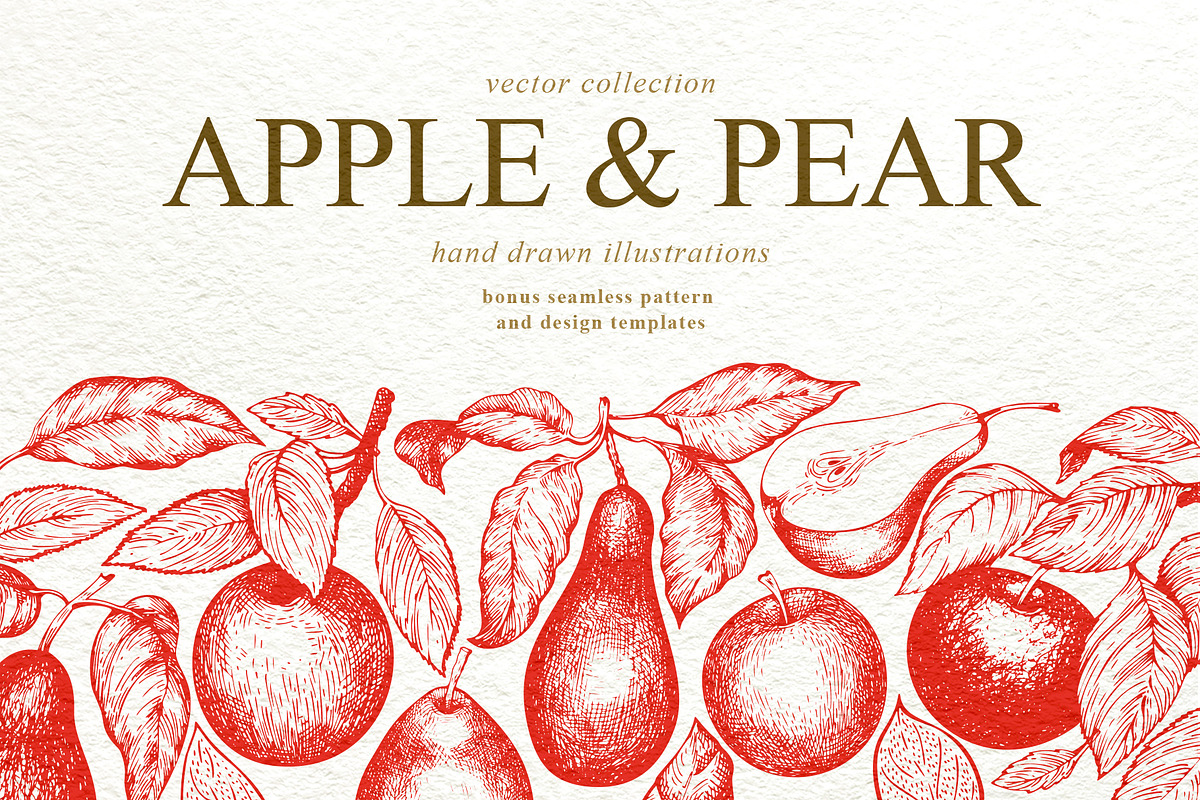 Apple & Pear Vector Collection, a Food Illustration by Lubov ...