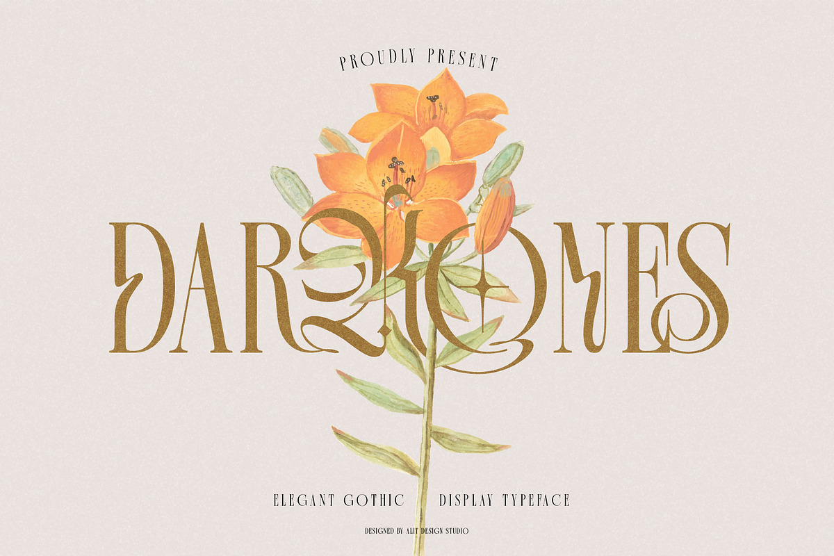 The Blackletter Bundle Alitdesign, a Blackletter Font by alit design