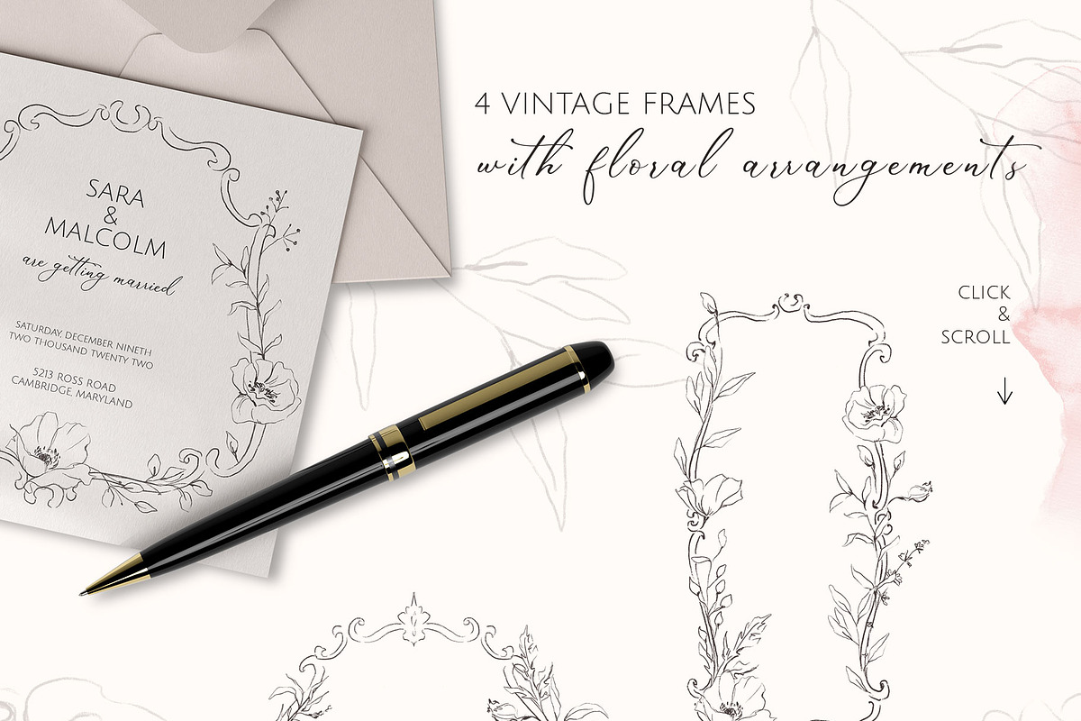 POPPY SUNSET pencil floral sketches