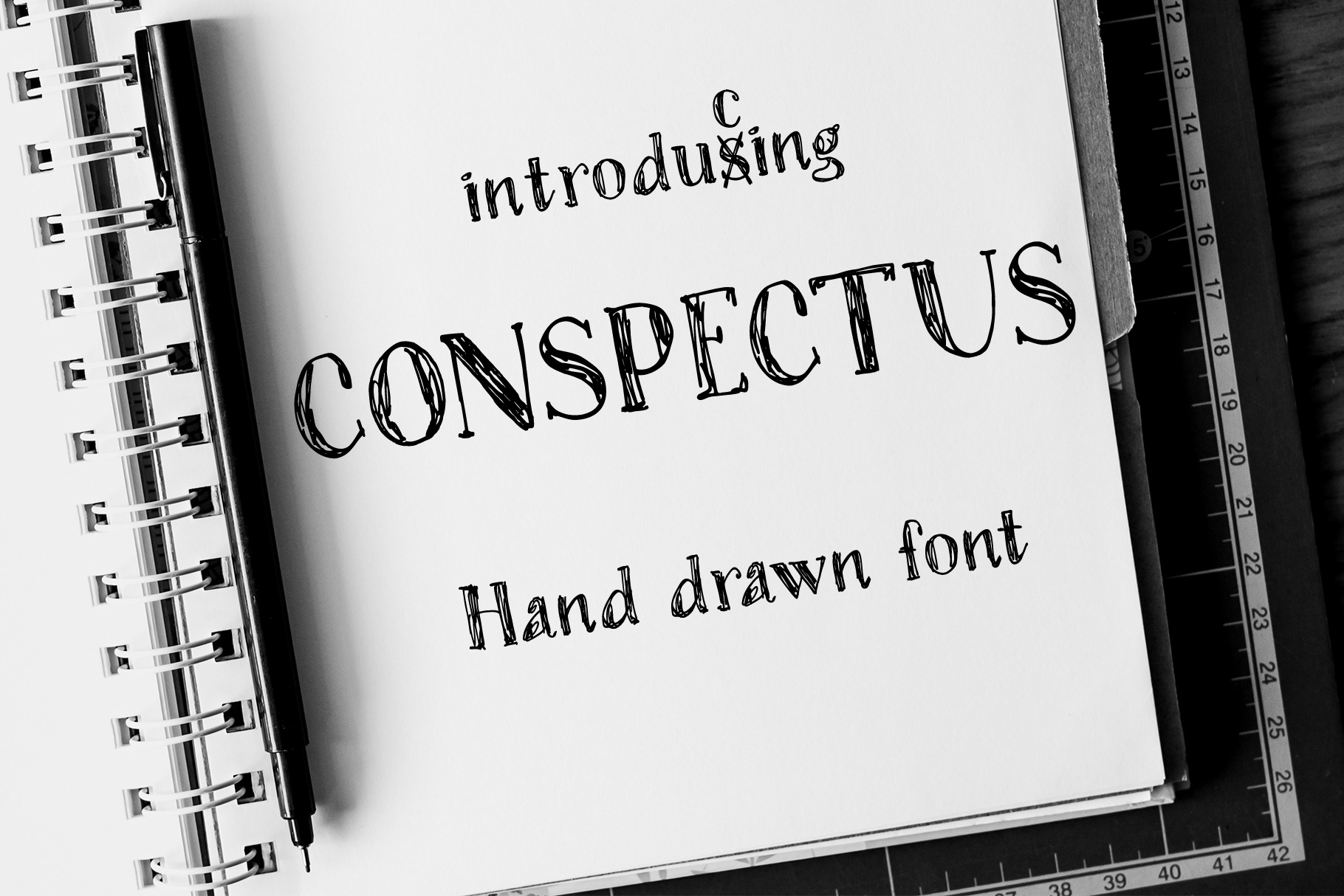 Conspectus | Ink Pen Font, a Script Font by Olena