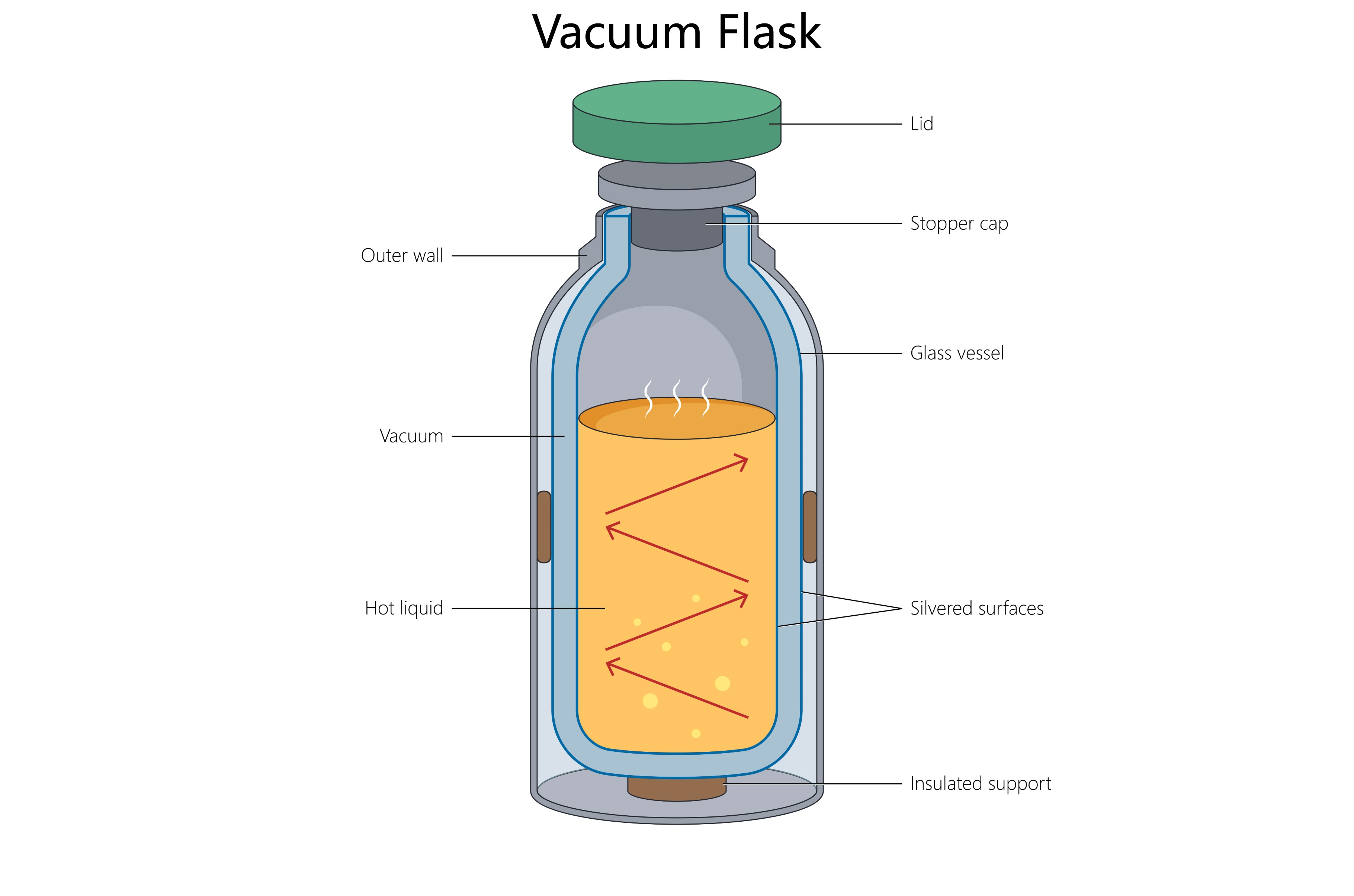 structure of a vacuum flask, an Object Illustration by AlexArt