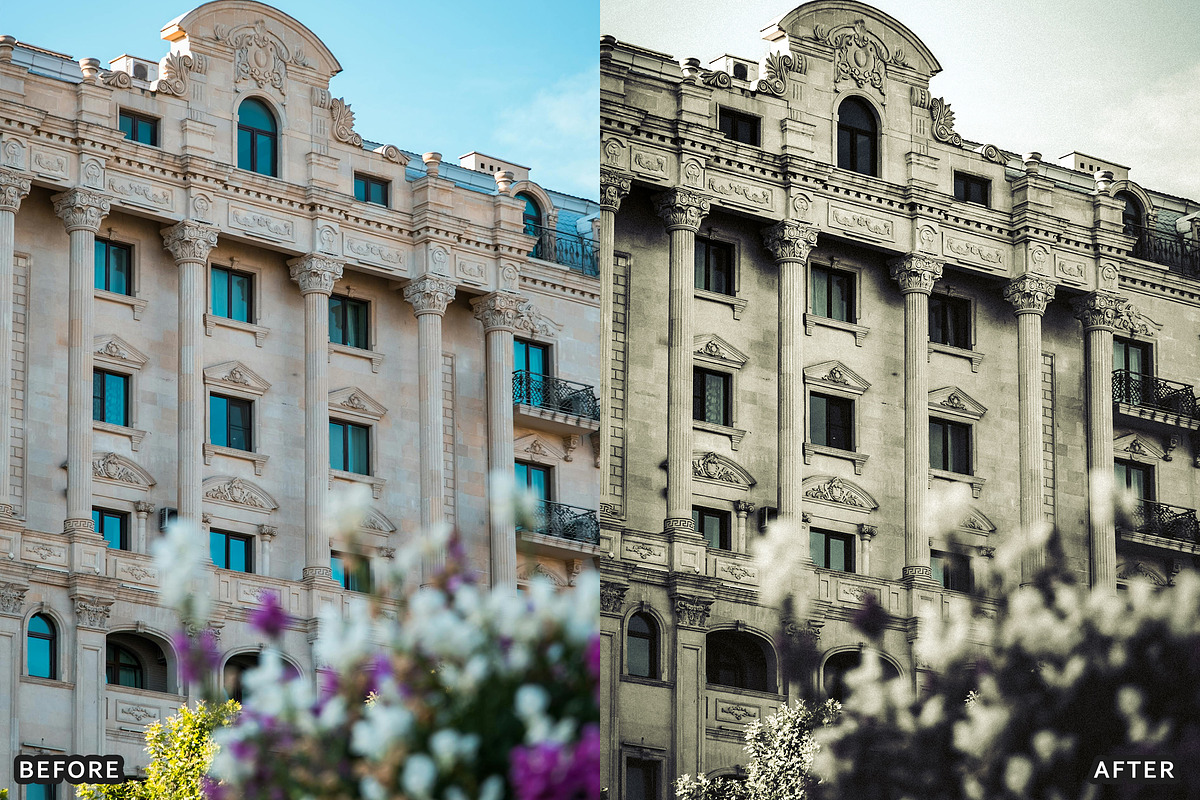 AI-Optimized Rich Black and White Lightroom Presets