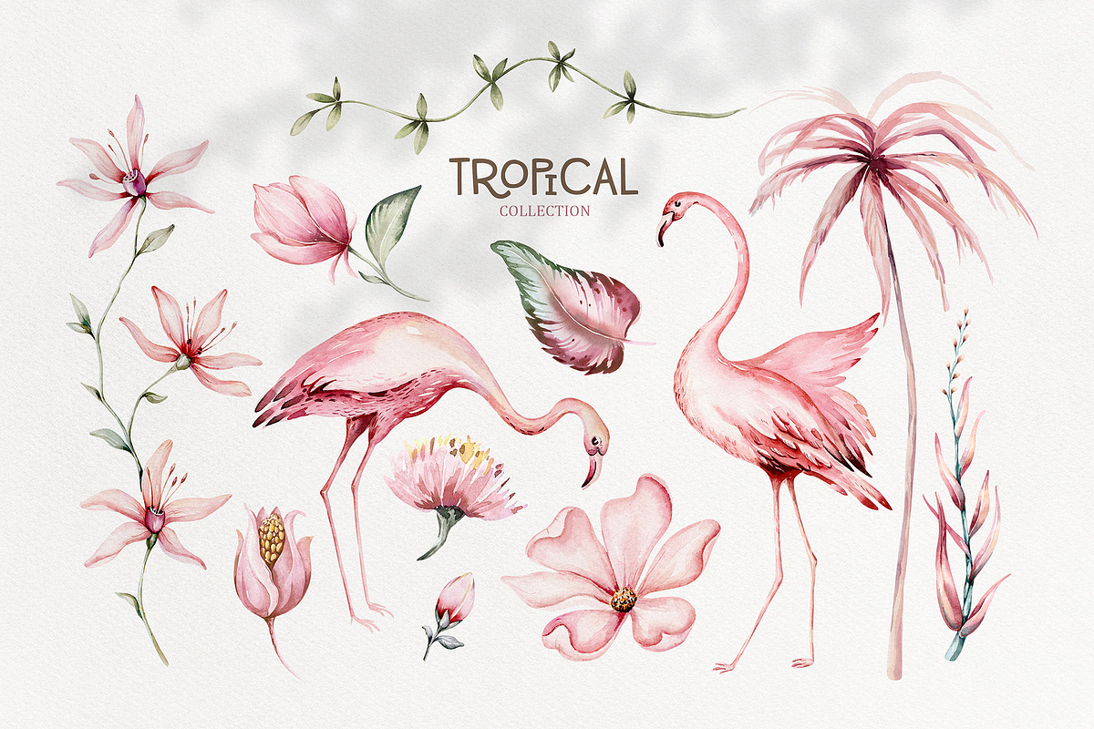 Tropical watercolor collection, an Animal Illustration by Peace ART
