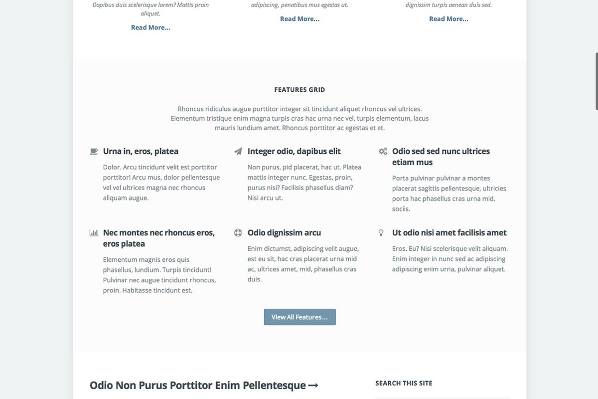 Paradigm Pro: Modern Business Theme, a WordPress Template by wpCMSdev