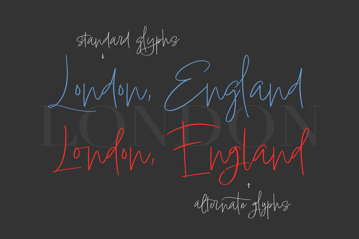 Ora Erwin : Signature Font Duo, a Script Font by KLUGE+CO