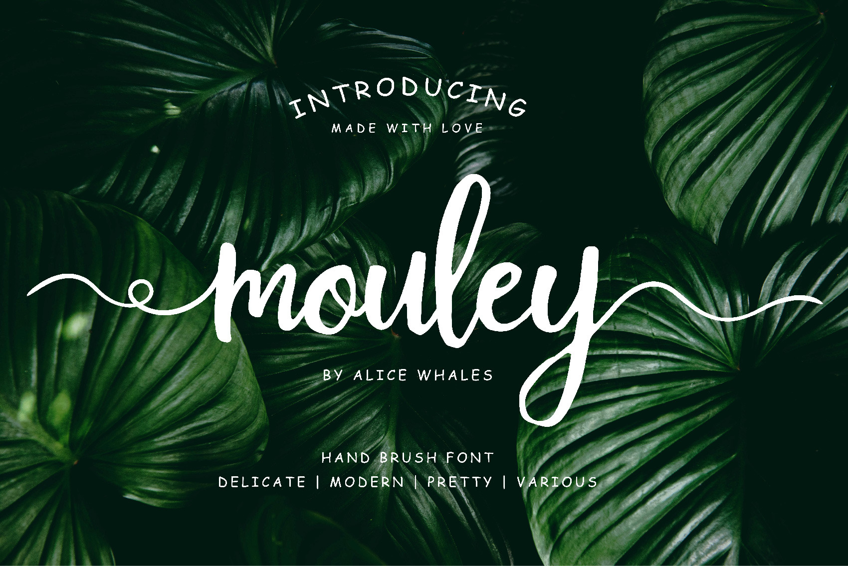 Mouley, a Script Font by NendesKombet Studio