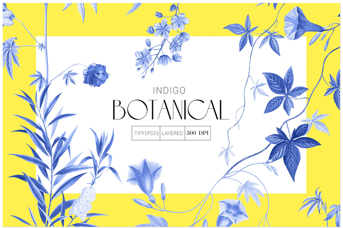 Indigo Botanicals, a Pattern Graphic by Pink Linen