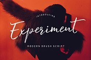 Experiment Brush Script, a Script Font by Dhan Studio | Creative Market