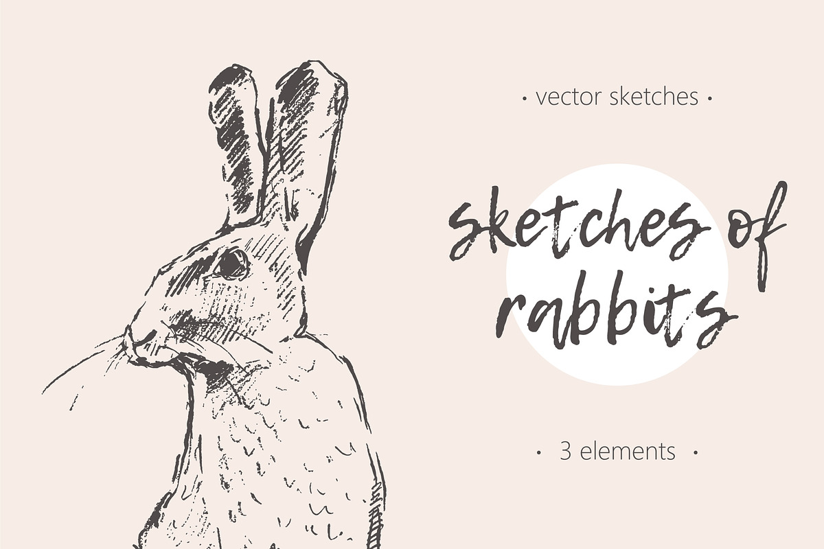 Set of hand drawn rabbits, an Animal Illustration by TheMountBirdStudio