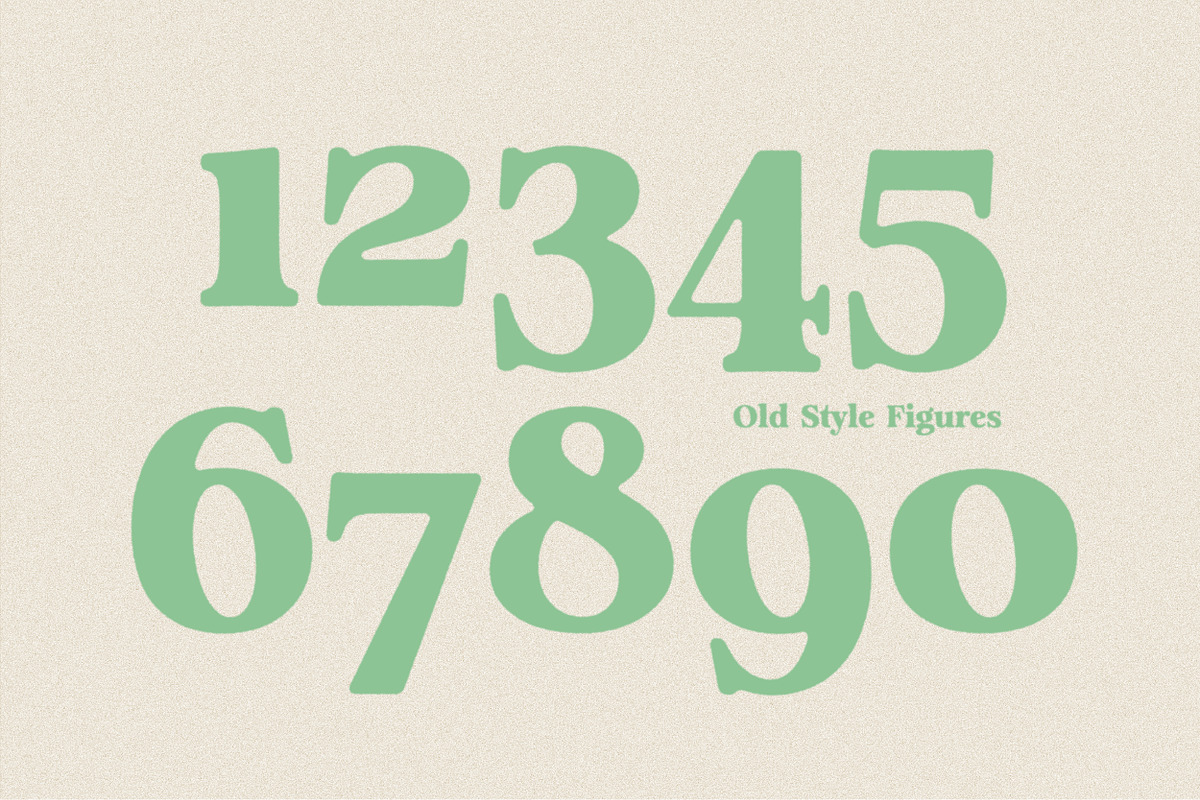 Analogue - Humanist Retro Serif, a Serif Font by Harmonais Visual