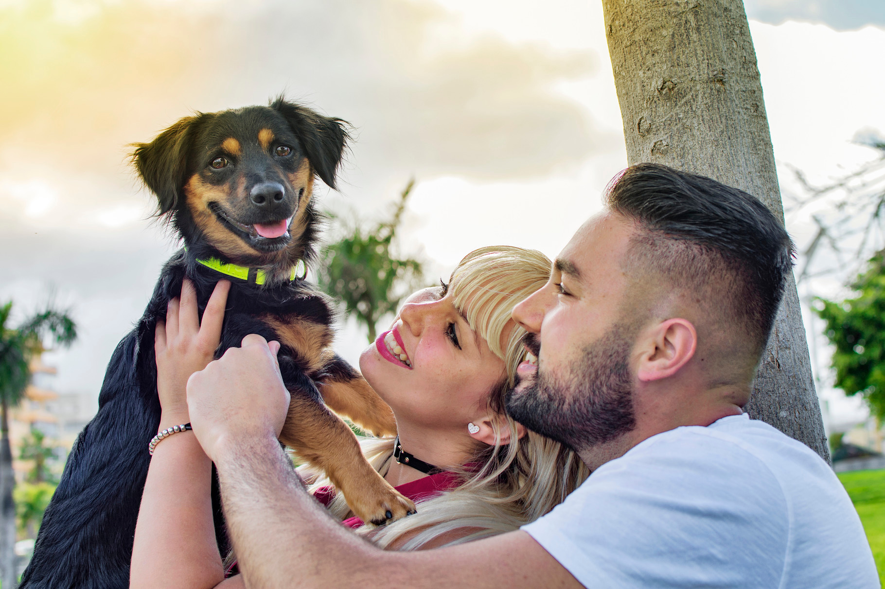 Couple in love with their dog., an Animal Photo by RaquelVizcaíno