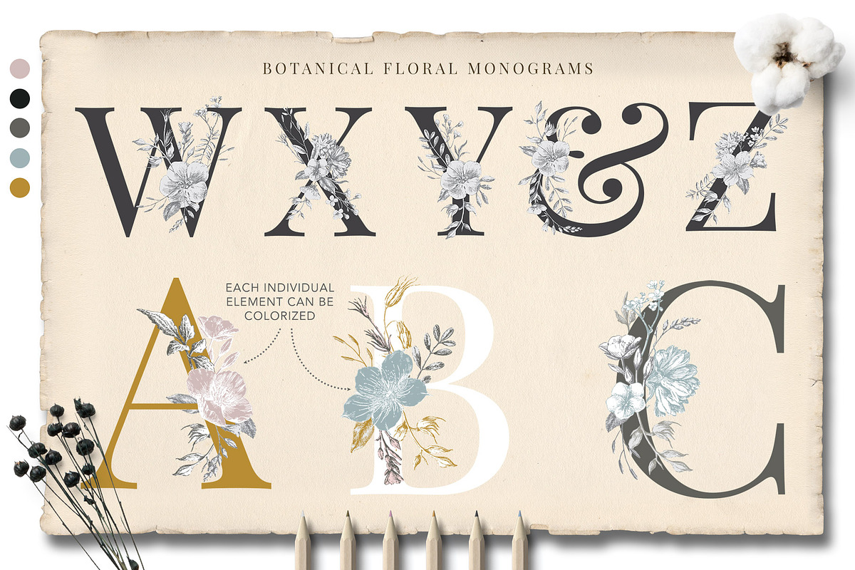 Botanical Curiosities Monograms, an Illustration by Eclectic Anthology ...