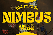 TAN - NIMBUS, a Font by TanType