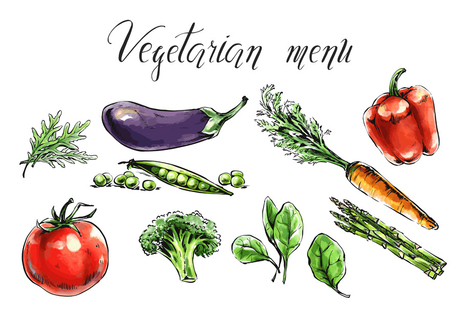 Set of fresh vegetables, drawing | Graphic Objects ~ Creative Market