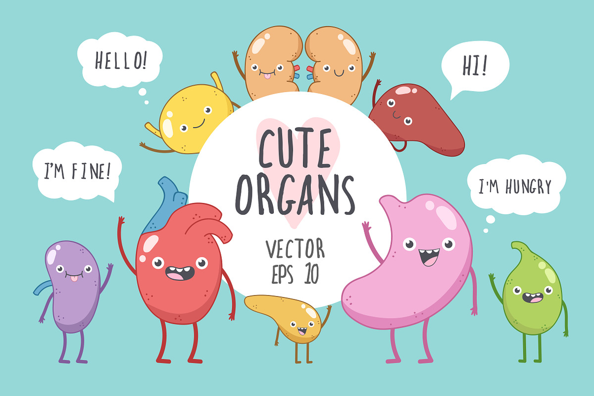 Cute Organs, a Healthcare Illustration by Imaginasty