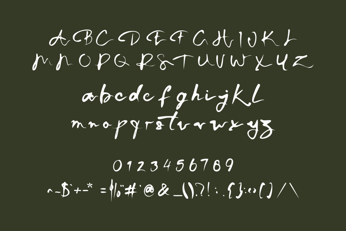 Kiarra tina font, a Script Font by VectorCraft