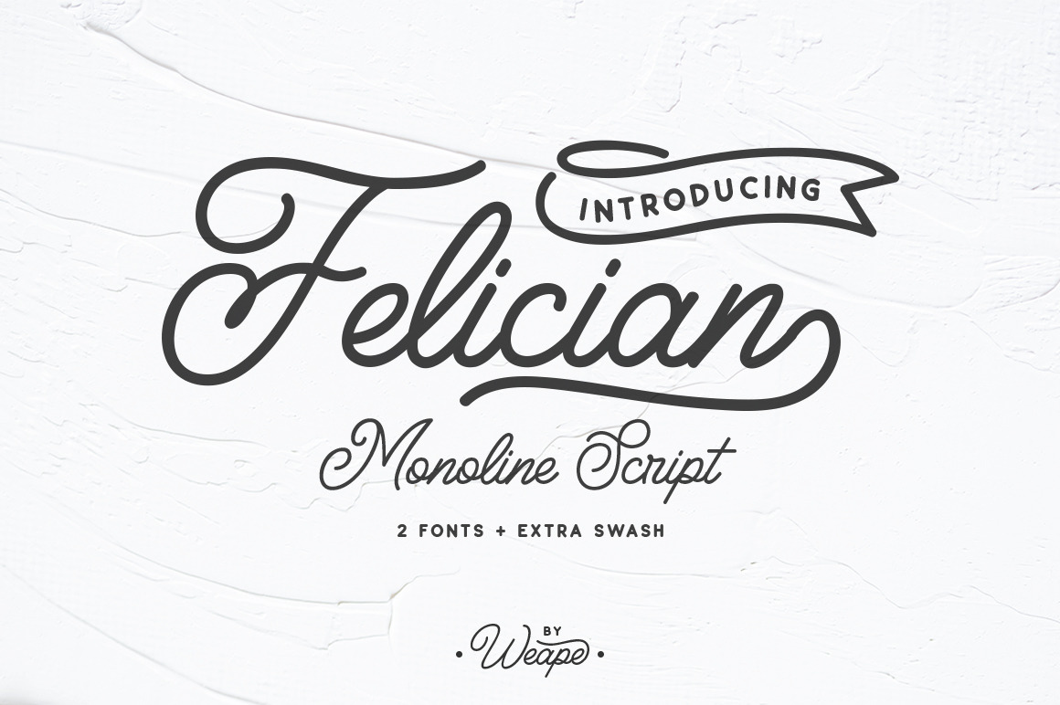 Felician Monoline Script, a Script Font by Weape Studio