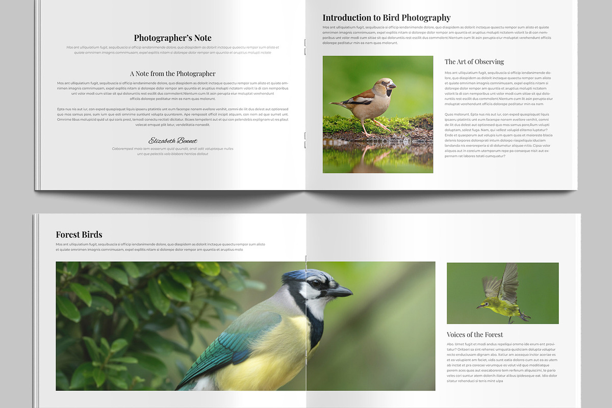 Professional Photo Album Design