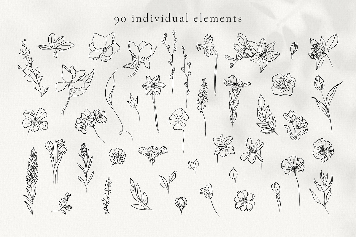 Minimalistic Spring Flowers Line Art