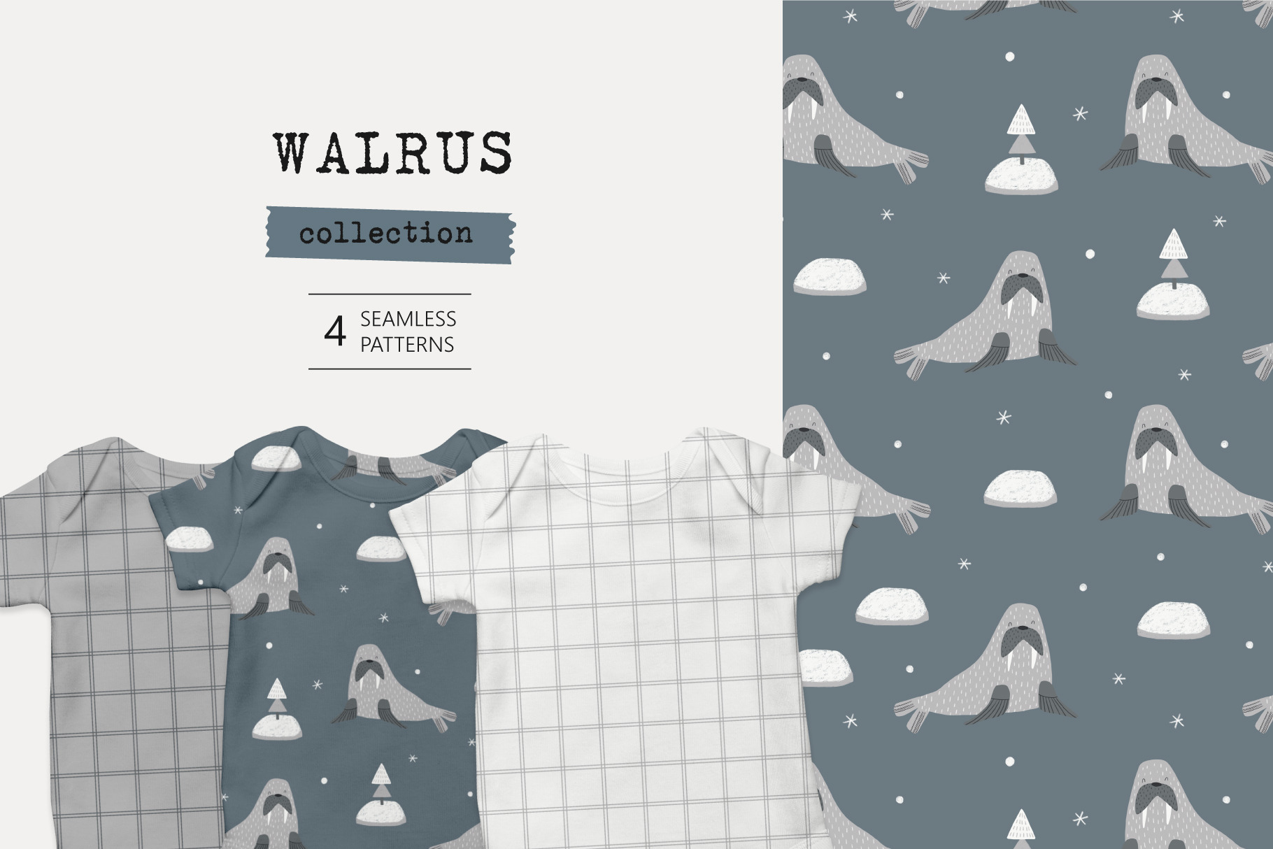 Walrus collection | Creative Market