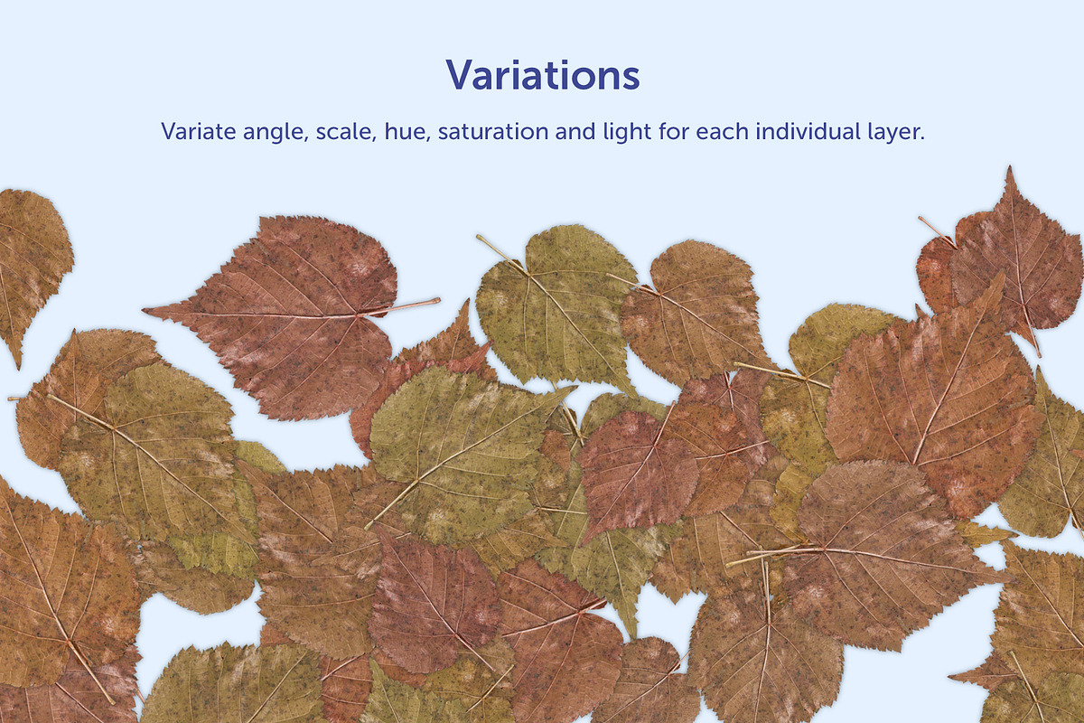 Scatter Stuff - Photoshop Extension, a Plug-in Add-On by bbtools