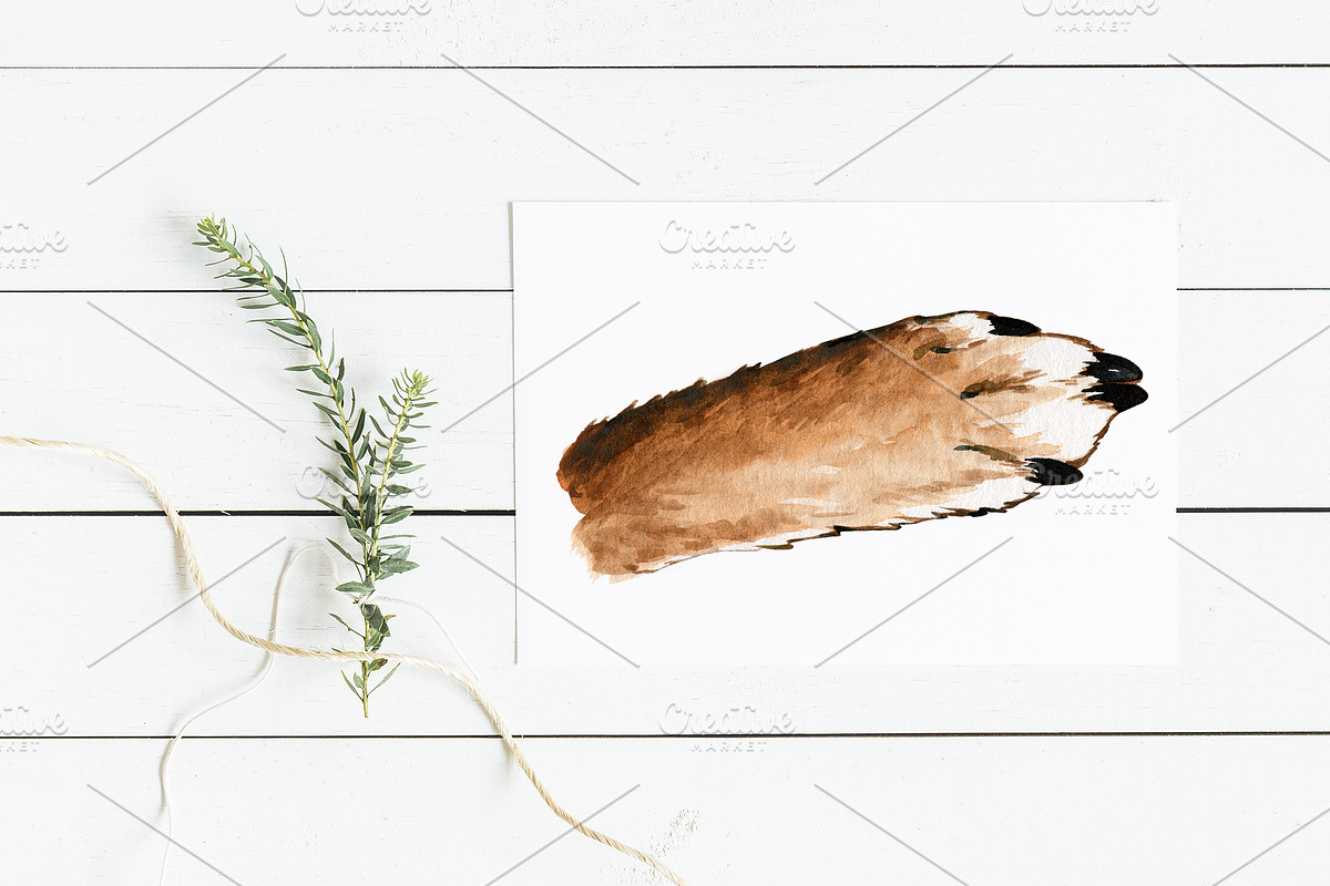 Dog Paw Watercolor Illustration, an Object Graphic by EkaterinaViArt
