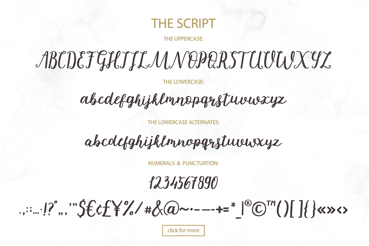 Michelle script with extras, a Script Font by Designwork