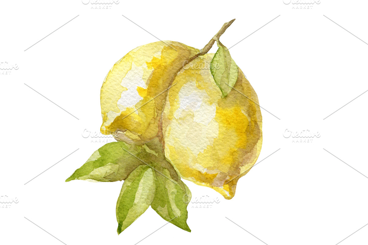 Watercolor 24 fruits set, a Food Illustration by My watercolor shop