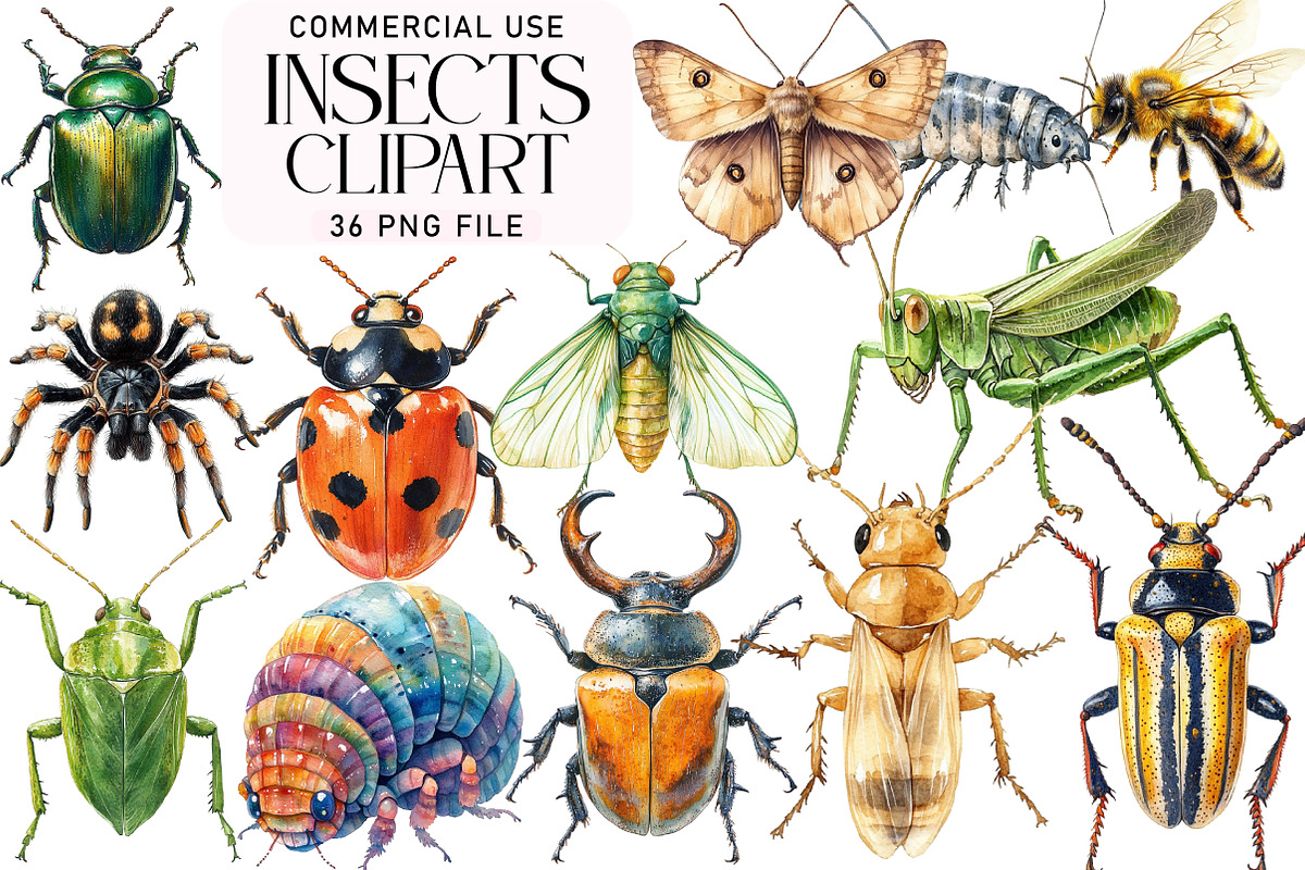 Insects Clipart Bundle, an Illustration by Daily.Designs