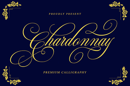Magnificent | Script Fonts ~ Creative Market