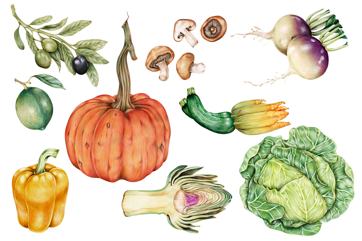 29 Incredible hand-drawn vegetables, a Food Illustration by rawpixel
