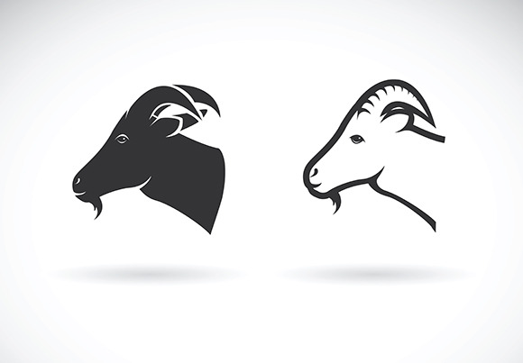 Vector of a goat head design., an Outline Icon by yod67