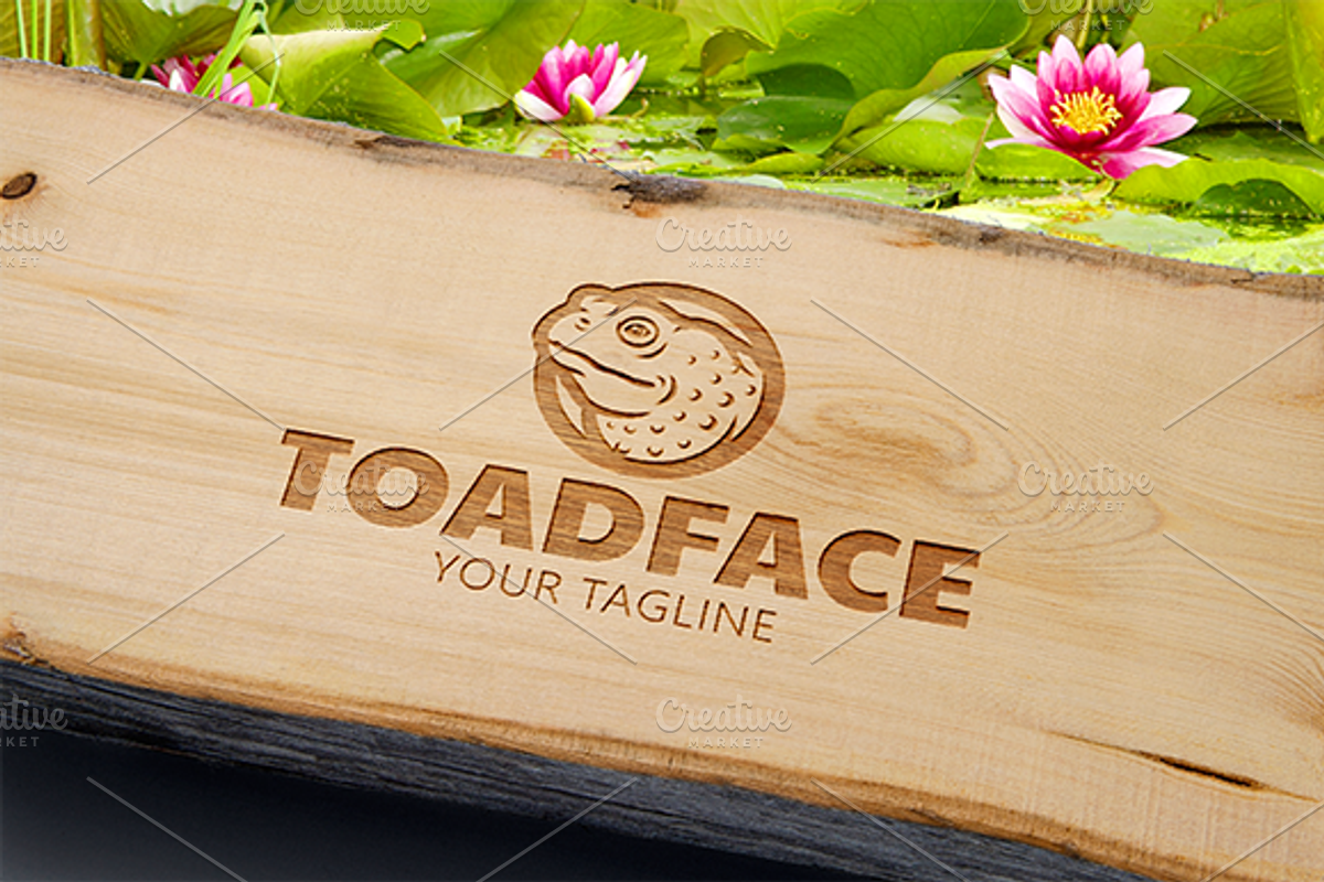 Toad Face, a Branding & Logo Template by Steinar Logo