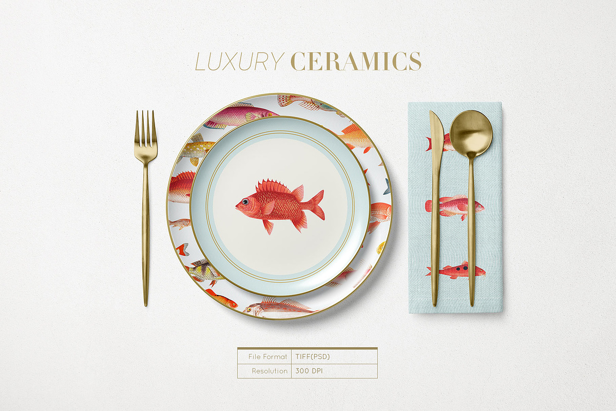 Mulgogi, luxury Fish illustration art.