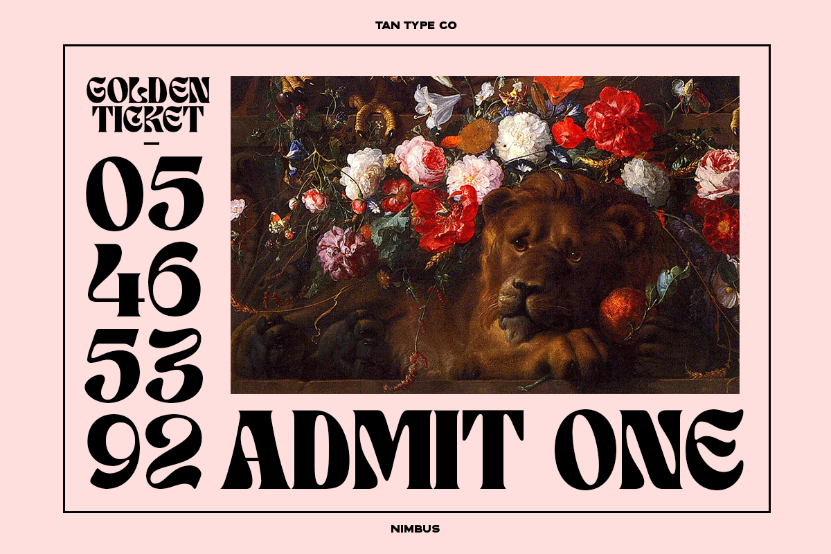 TAN - NIMBUS, a Font by TanType