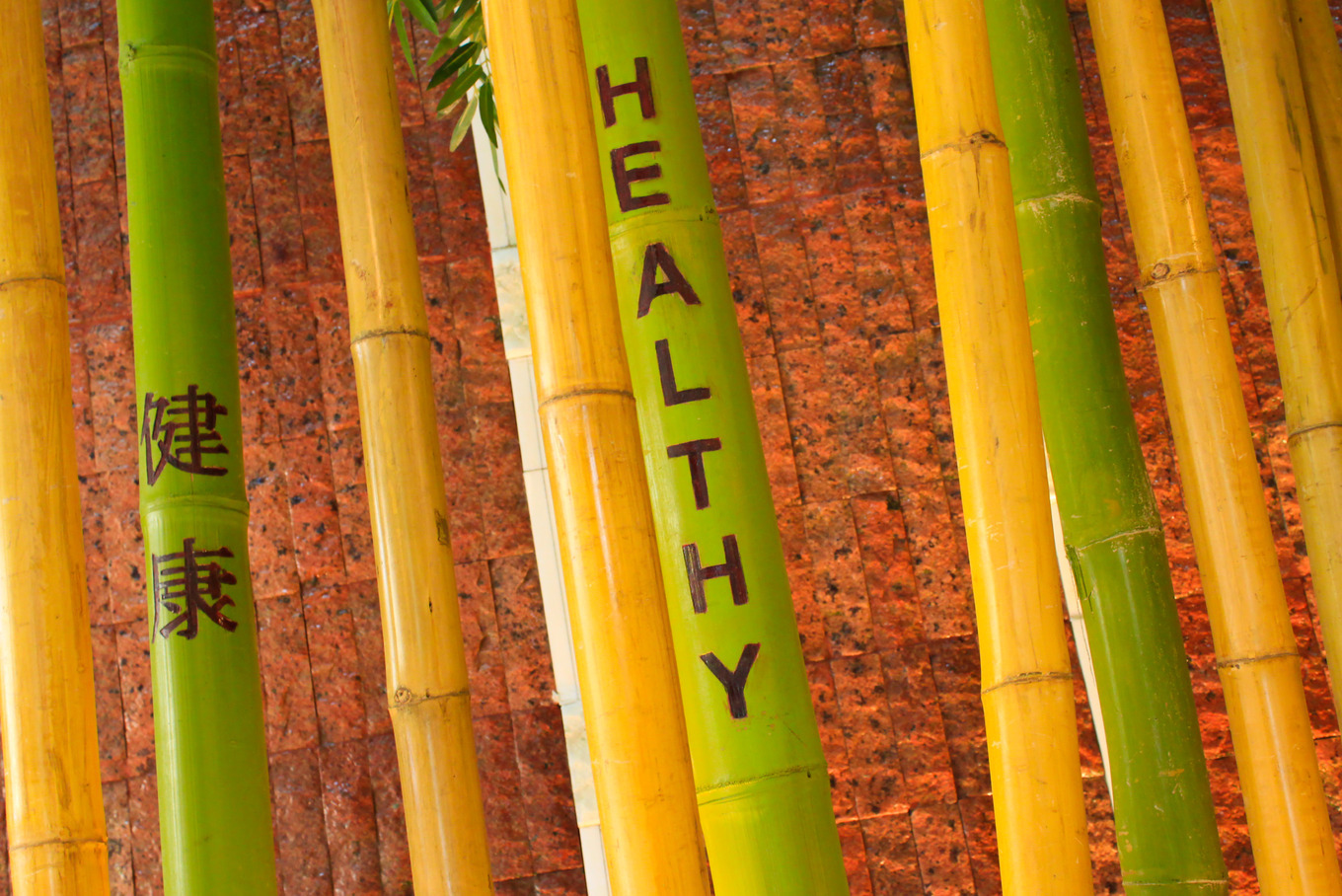 Bamboo with healthy word containing bamboo, tree, and bamboo tree, a ...