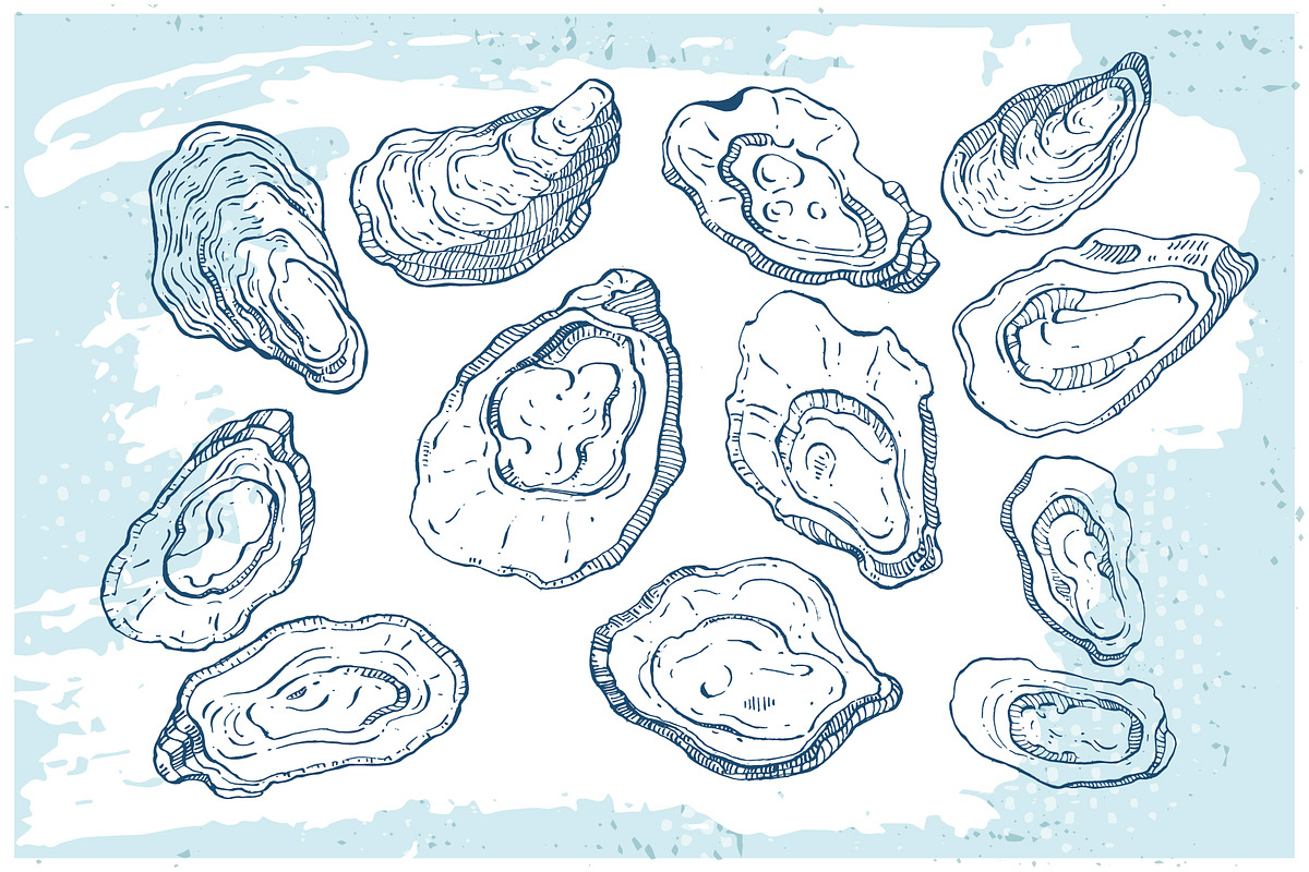 Oysters sketch ink drawing, an Animal Illustration by Samira