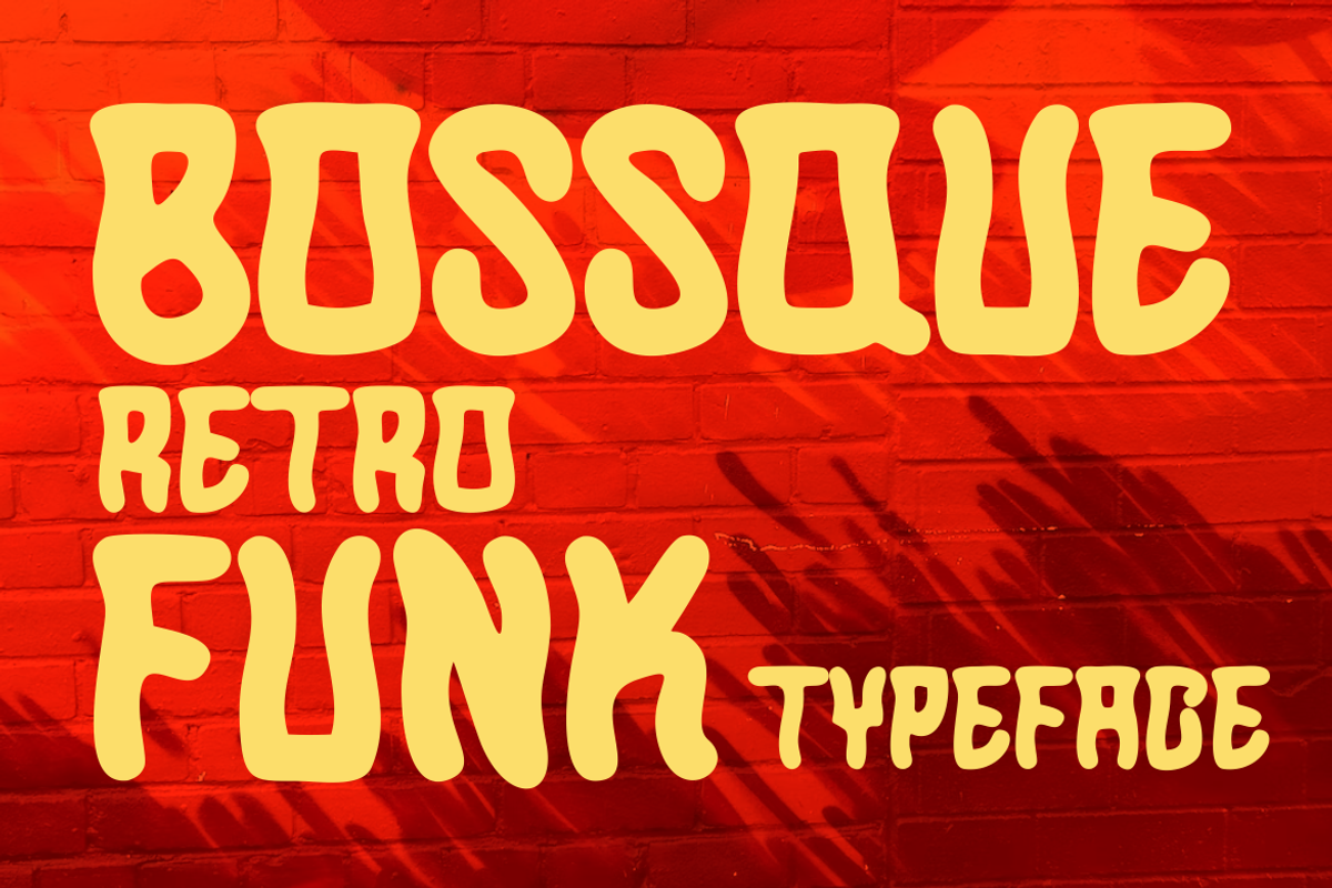 Chanara font, a Serif Font by VectorCraft