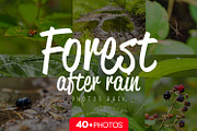 Forest after rain /40+ pics, a Nature Photo by tydla